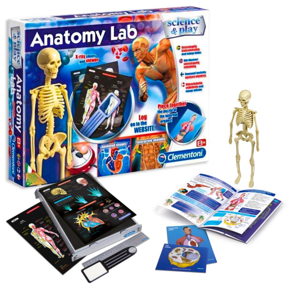 Anatomy Lab Människokroppen Spel - Partyhallen.se