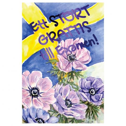 Stort Grattis Till Examen Grattiskort Mini - Partyhallen.se